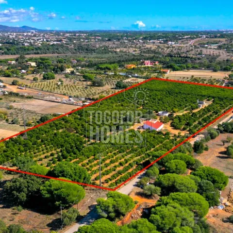 Wie viel kostet ein Grundst\u00fcck mit Genehmigungen f\u00fcr l ...